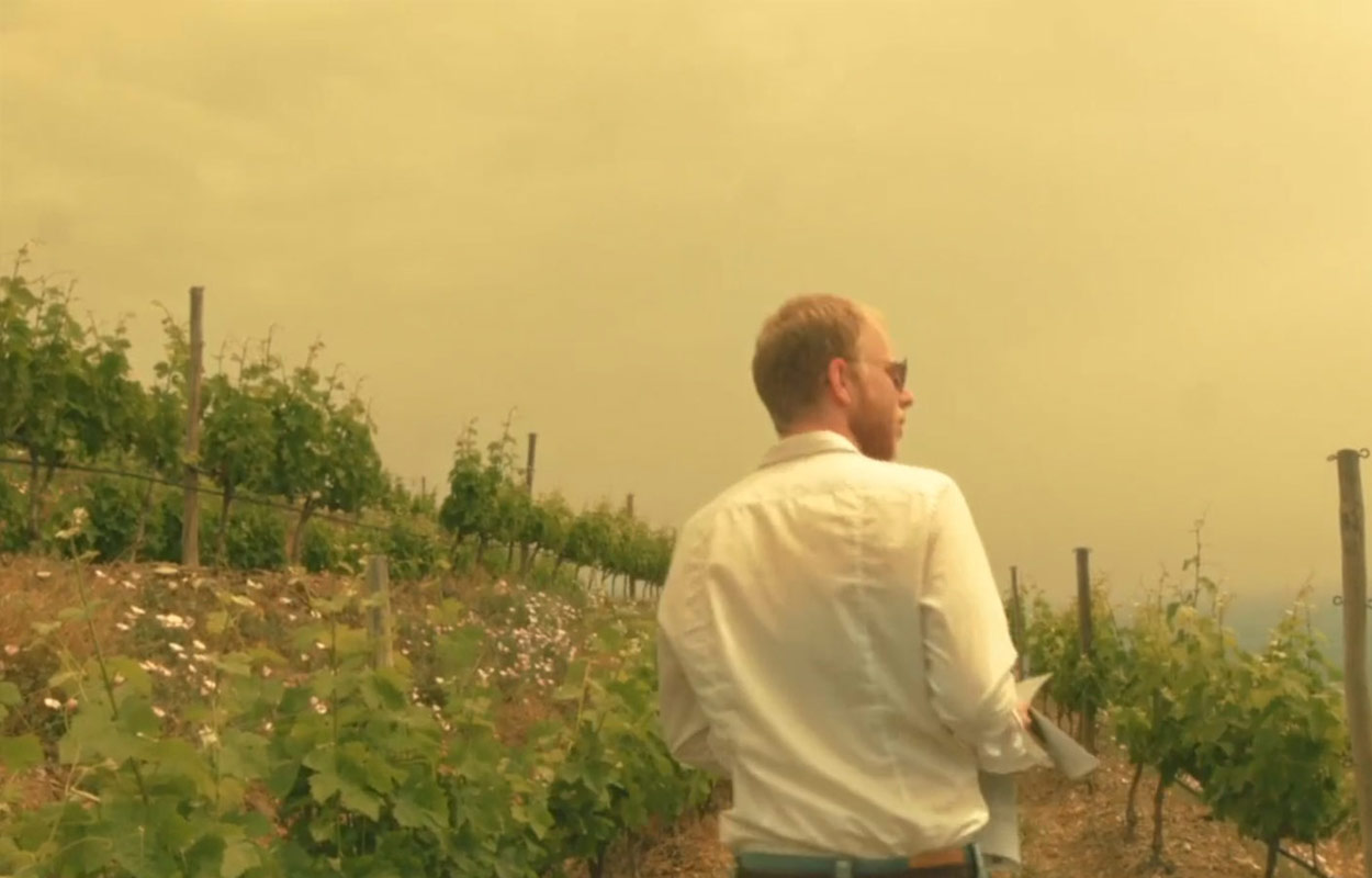 Viral DO Catalunya - Abacus idea